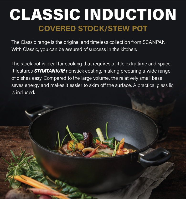 SCANPAN Classic Induction 28cm/6.0L Covered Stock/Stew Pot | Shopee ...