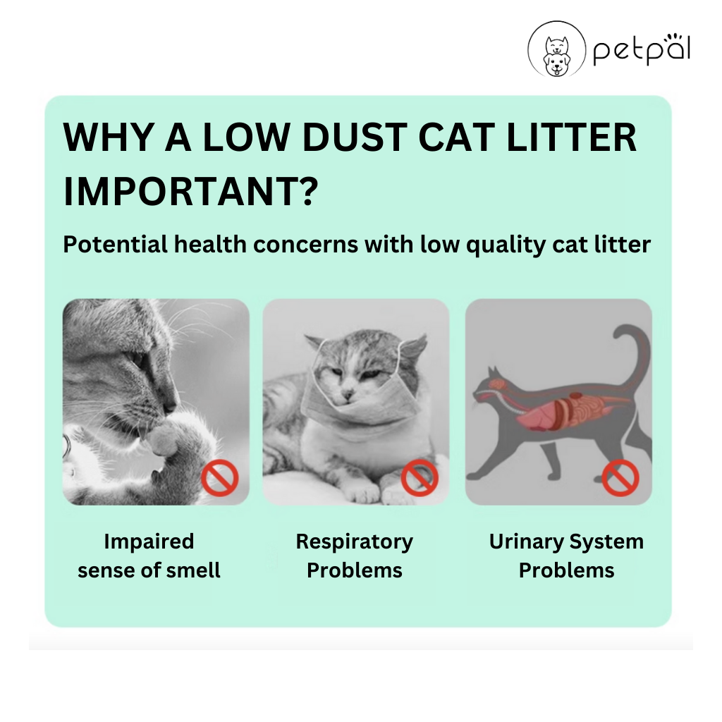[3 FOR $19.9] PETPAL Low Dust Quick Clump Bentonite Cat Litter (10L | 6 ...