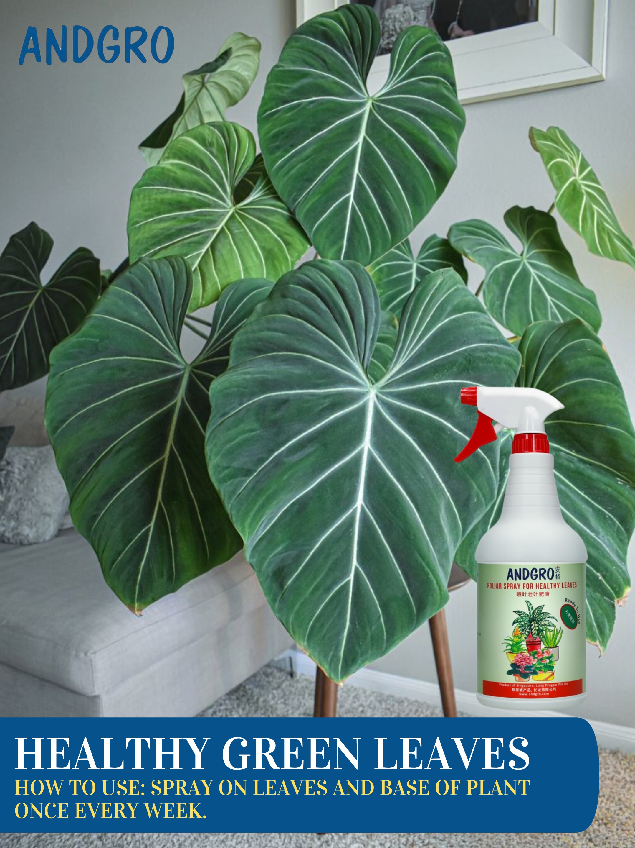 ANDGRO Foliar Spray for Flowering (Desert Rose) & Healthy Leaves Bundle ...