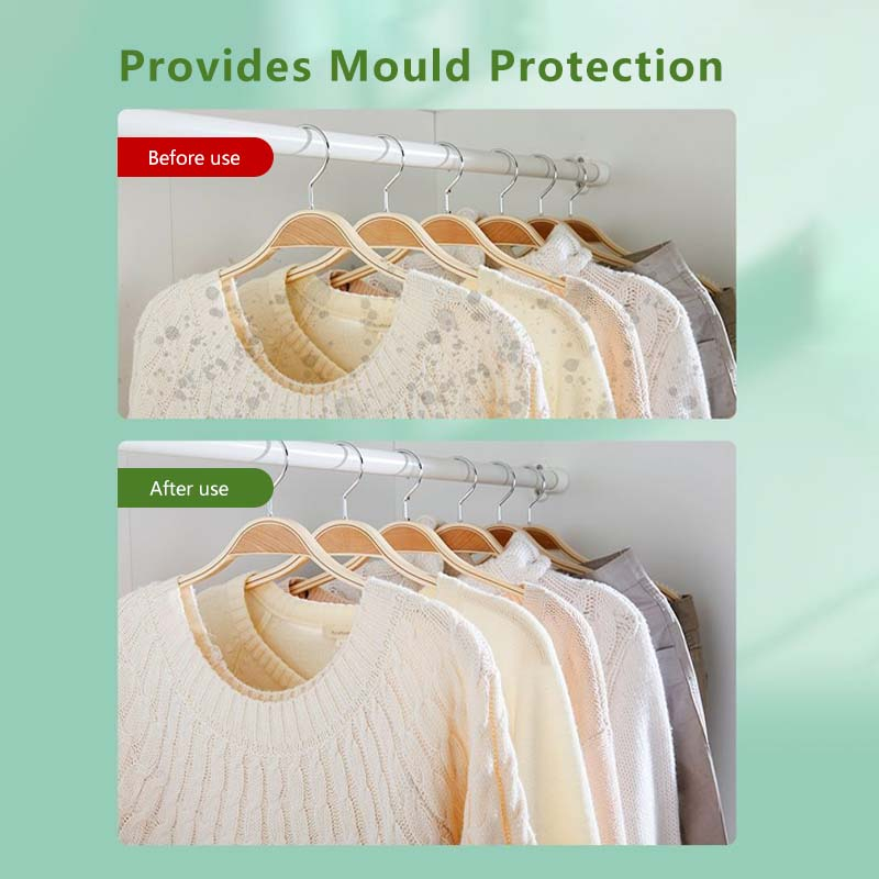 🇸🇬 [In Stock]Loset Mothball Fragrant Insect Repellent Camphor Balls For ...