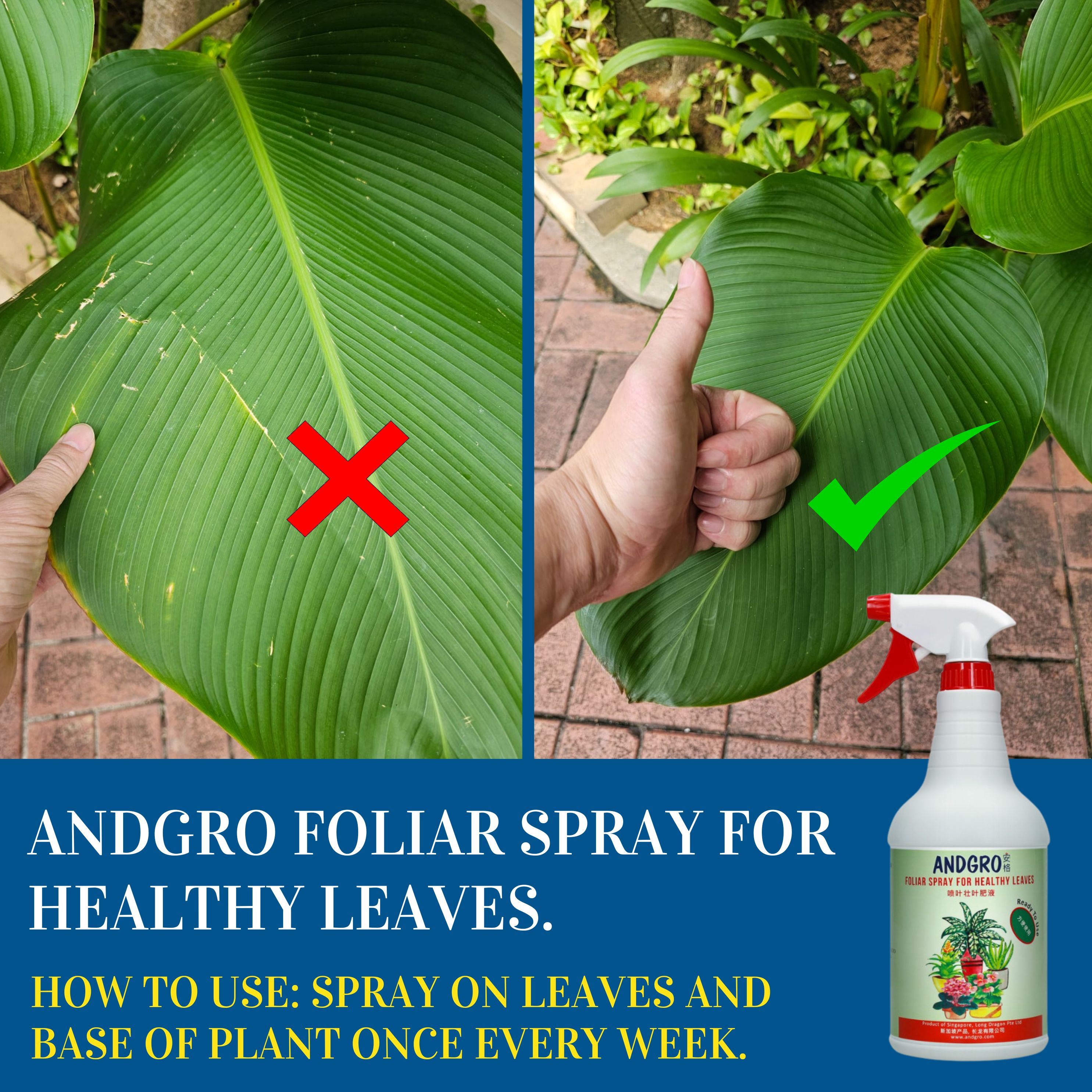 ANDGRO Foliar Spray for Healthy Leaves (1000ml) | Shopee Singapore