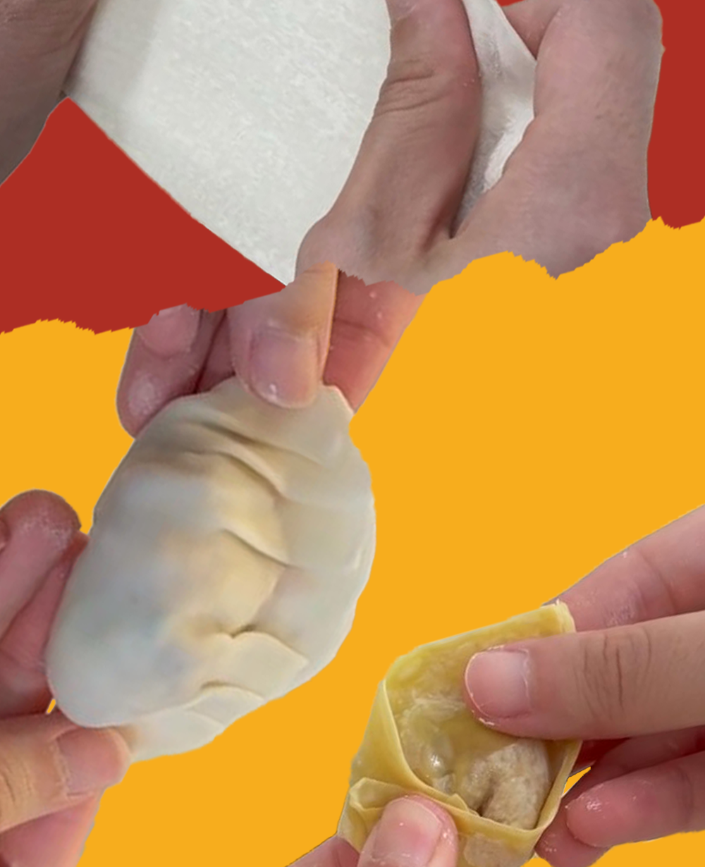 Twirlee Wrappers Series (Gyoza/Wanton Skin) 300g | Shopee Singapore