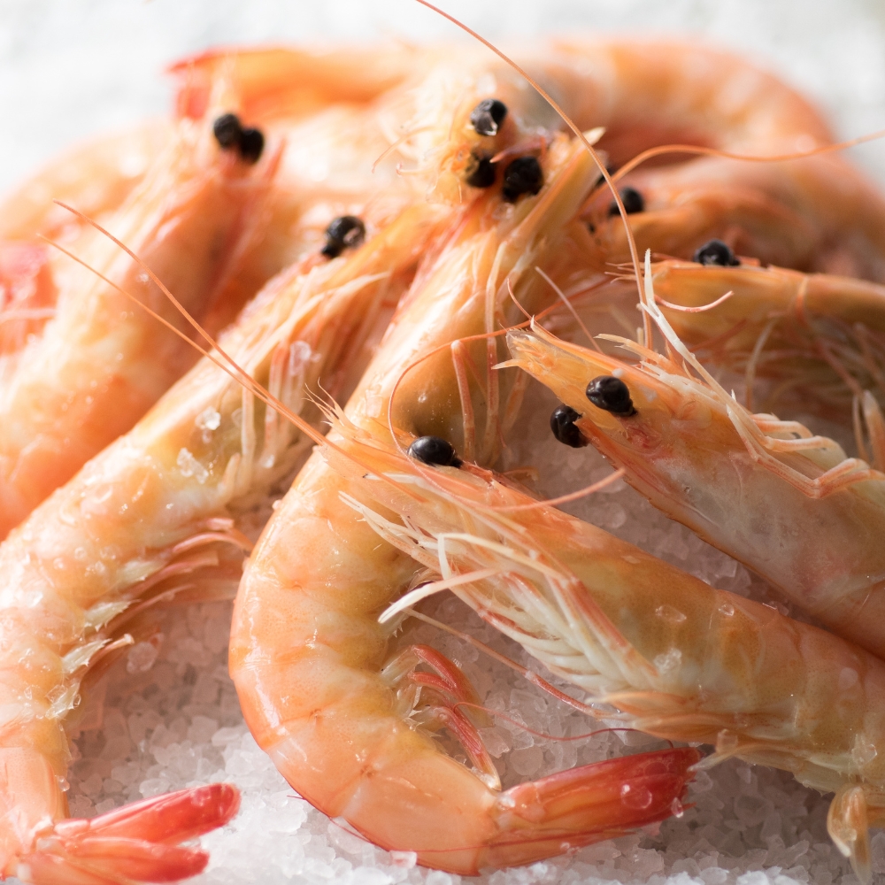 [SEACO] Cooked Prawn Vannamei HOSO (30-40) 700g | Shopee Singapore