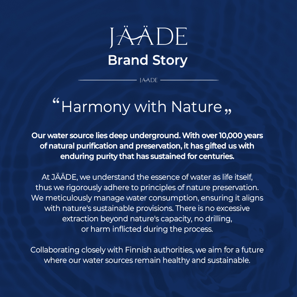 Jääde Natural Spring Water - 12 Cartons / Pure-Pak x 500ml (Case ...