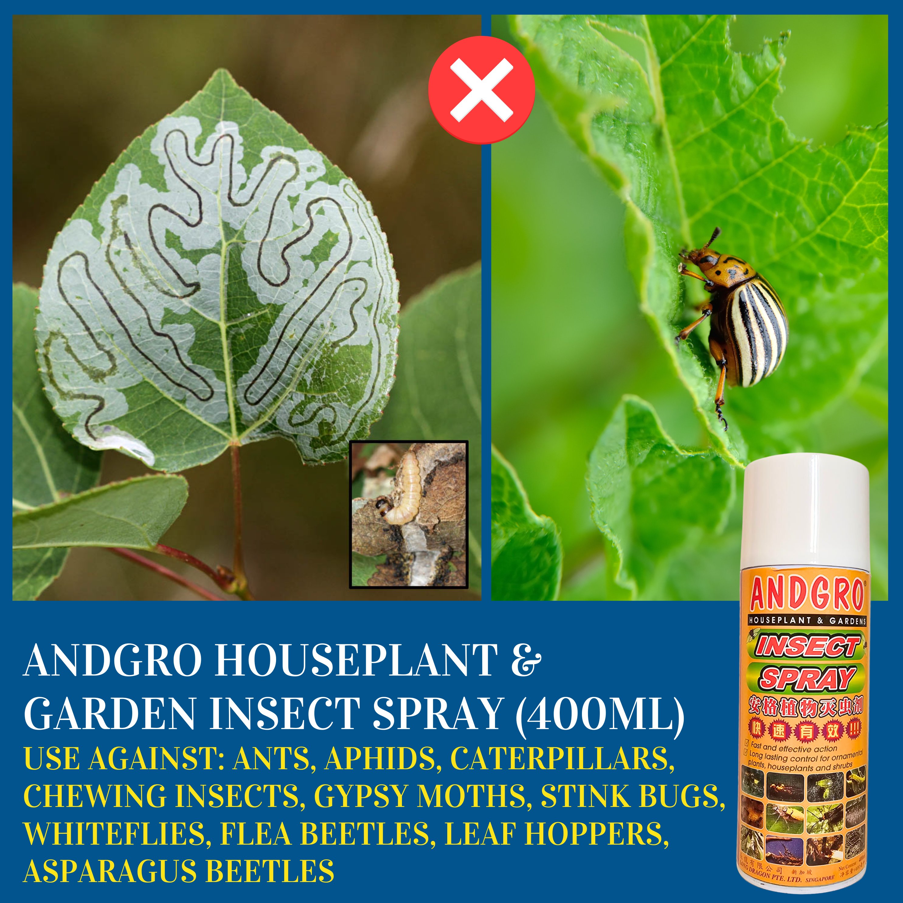 ANDGRO Insect Spray insecticide (400ml) | Shopee Singapore