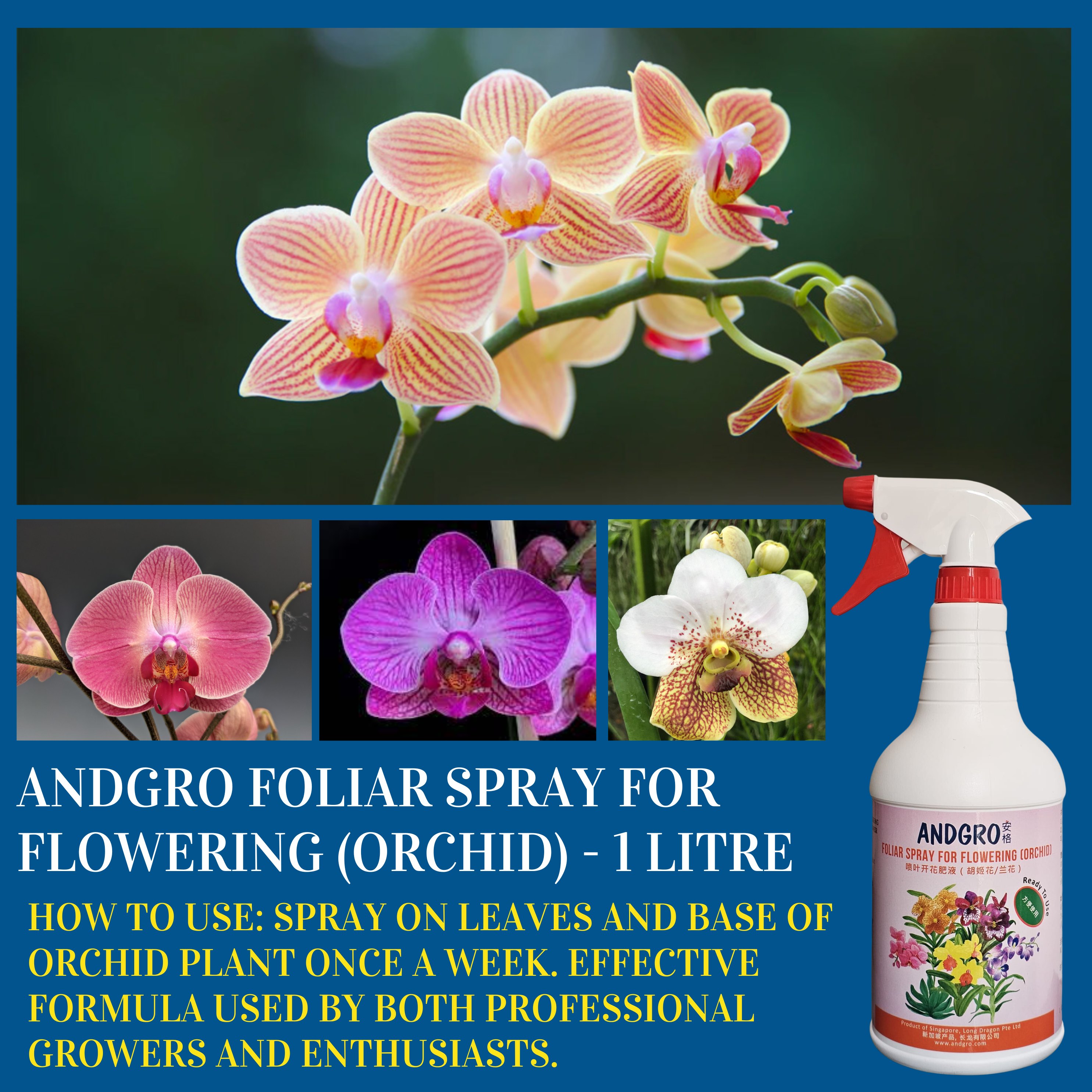 ANDGRO Foliar Spray for Flowering - Orchid (1000ml) | Shopee Singapore