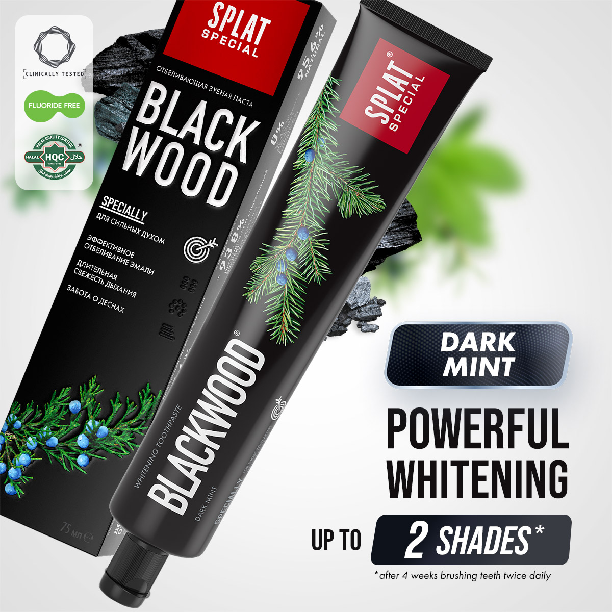 SPLAT Special Series Blackwood Toothpaste 75ml | Shopee Singapore