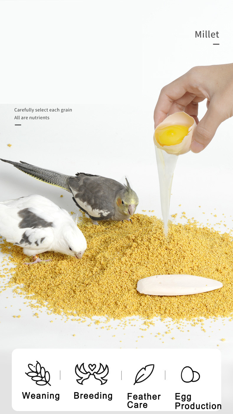 Jonsanty Healthy Complete Egg Millet Food 1200ml Parrot Parakeet Budgie ...