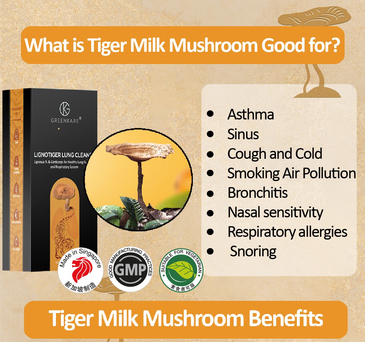 Greenkare Tiger Milk Mushroom Extract 虎乳芝| Relief Sinus,Cough,Lung ...