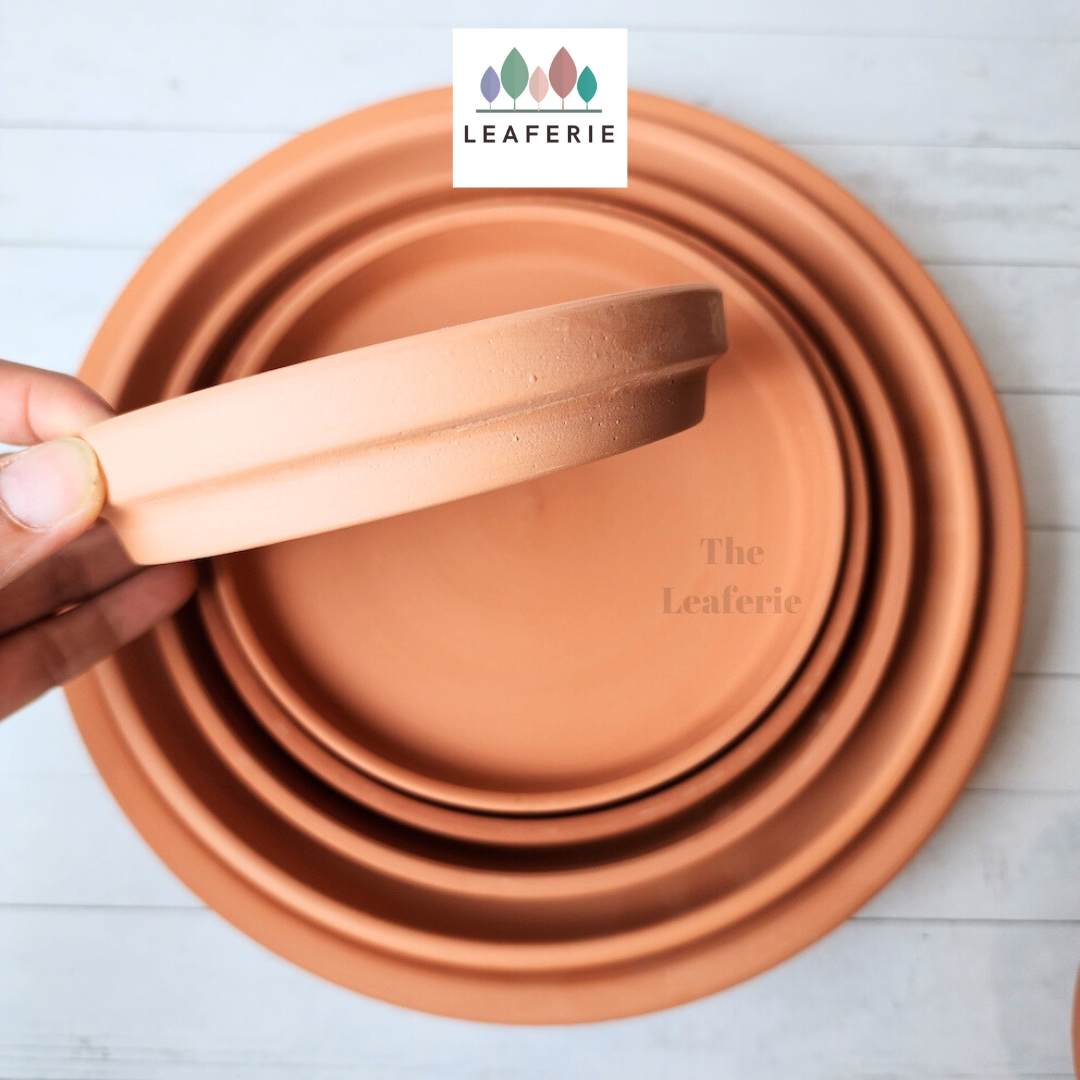 The Leaferie Terracotta Trays 7 sizes flowerpot tray planter saucer ...