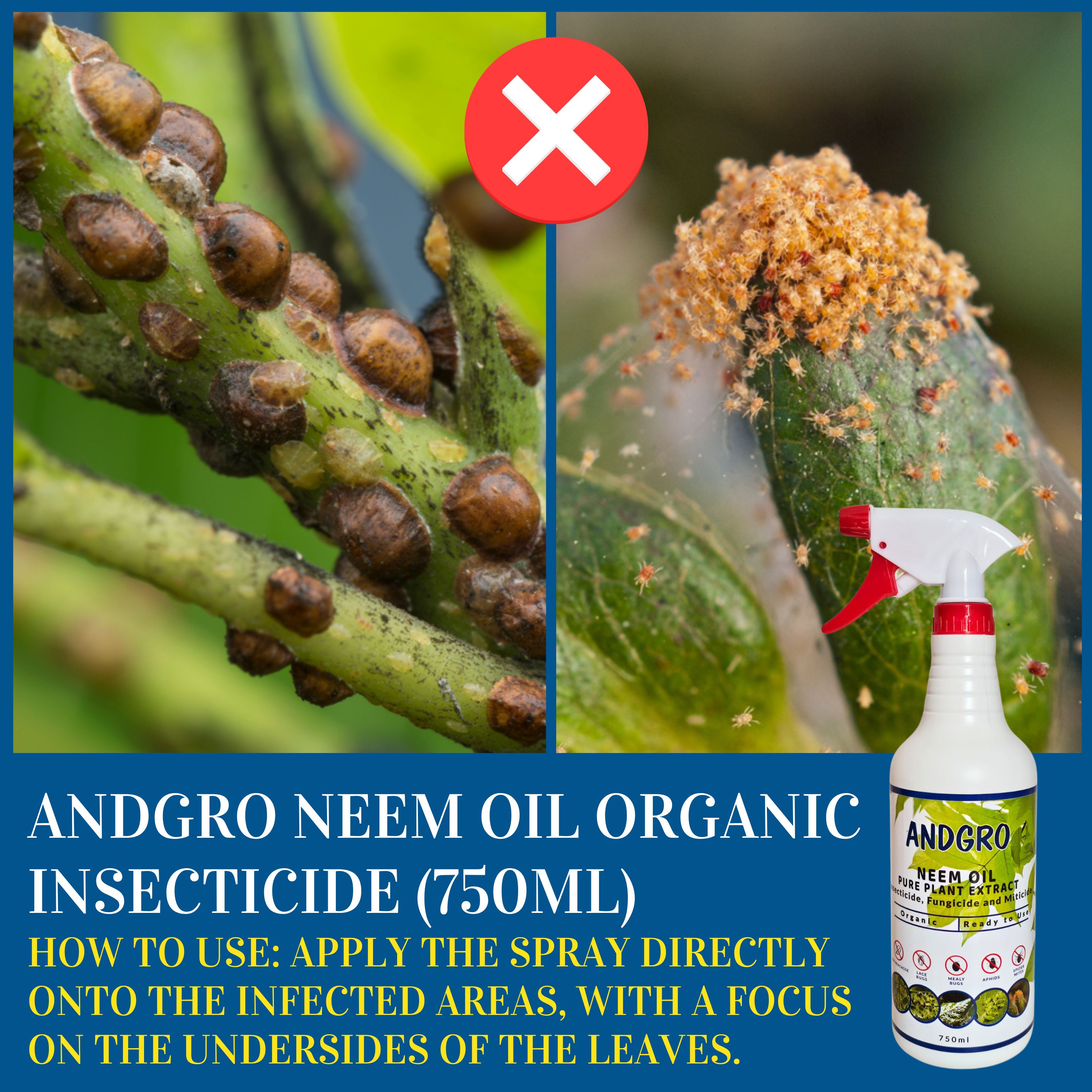 Andgro Neem Oil Organic Insecticide [Fungicide, Miticide, Pest, Aphids ...