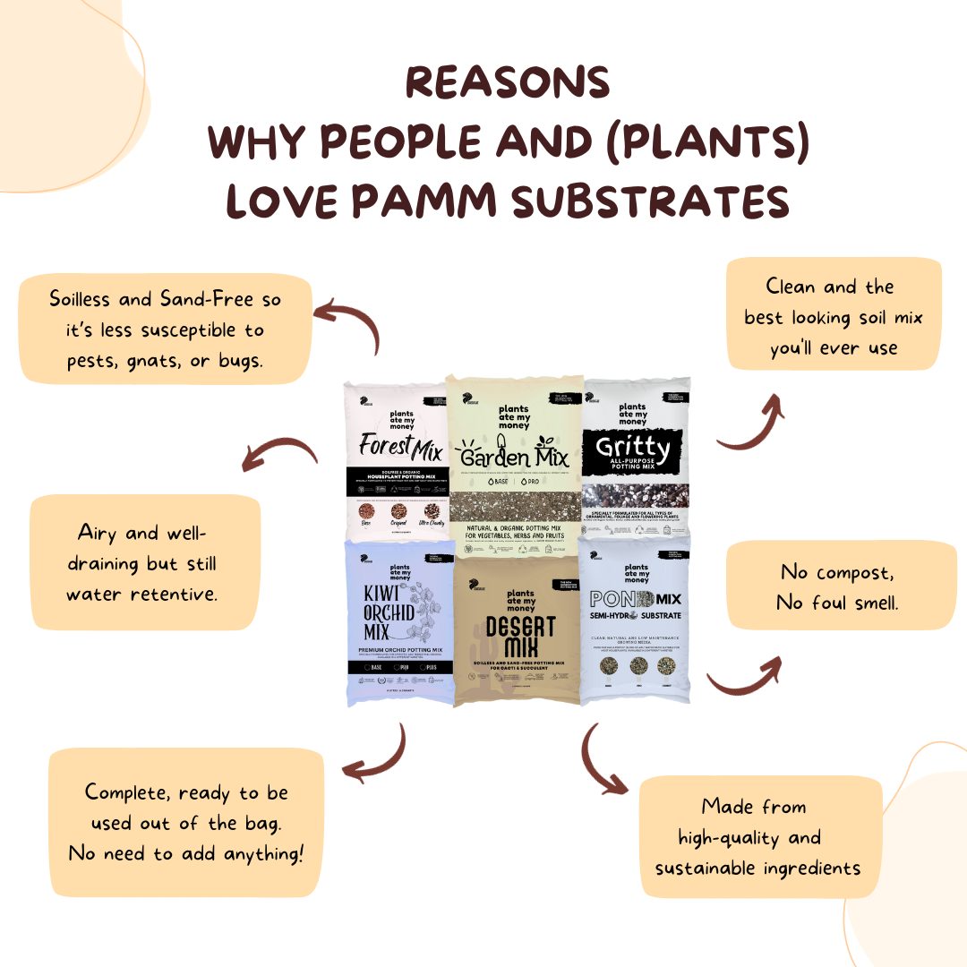 PAMM [SEMI-HYDRO MIX] 2L Pond Mix - Base, Pro or Chunky Pro. Soil ...
