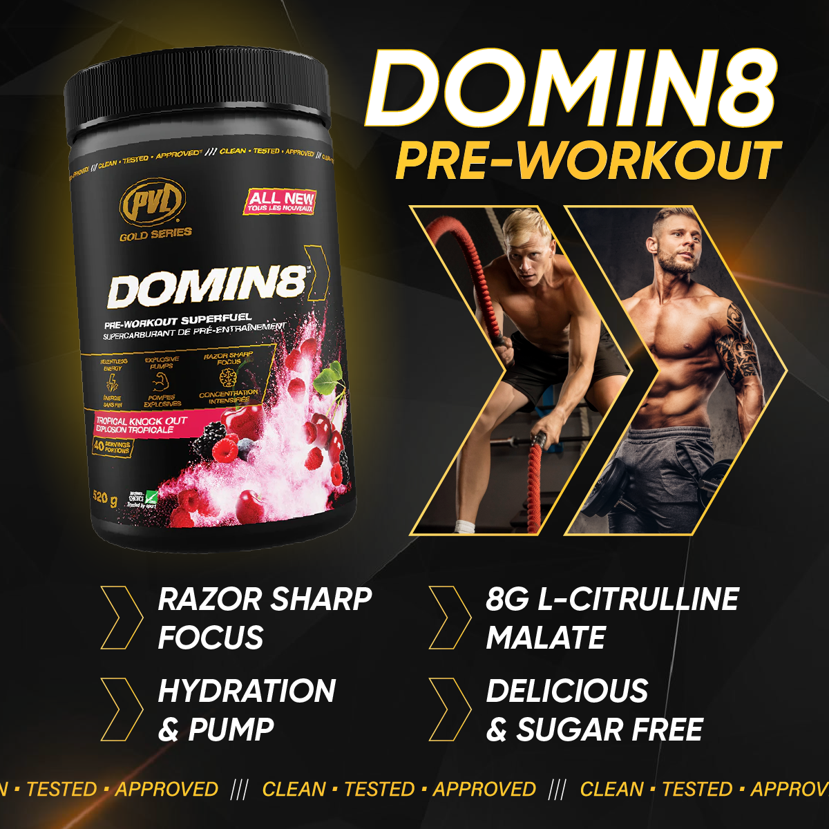 PVL Gold Series Domin8, Pre Workout, L-Citrulline, Boost Energy, Enhance Performance, Increase ...