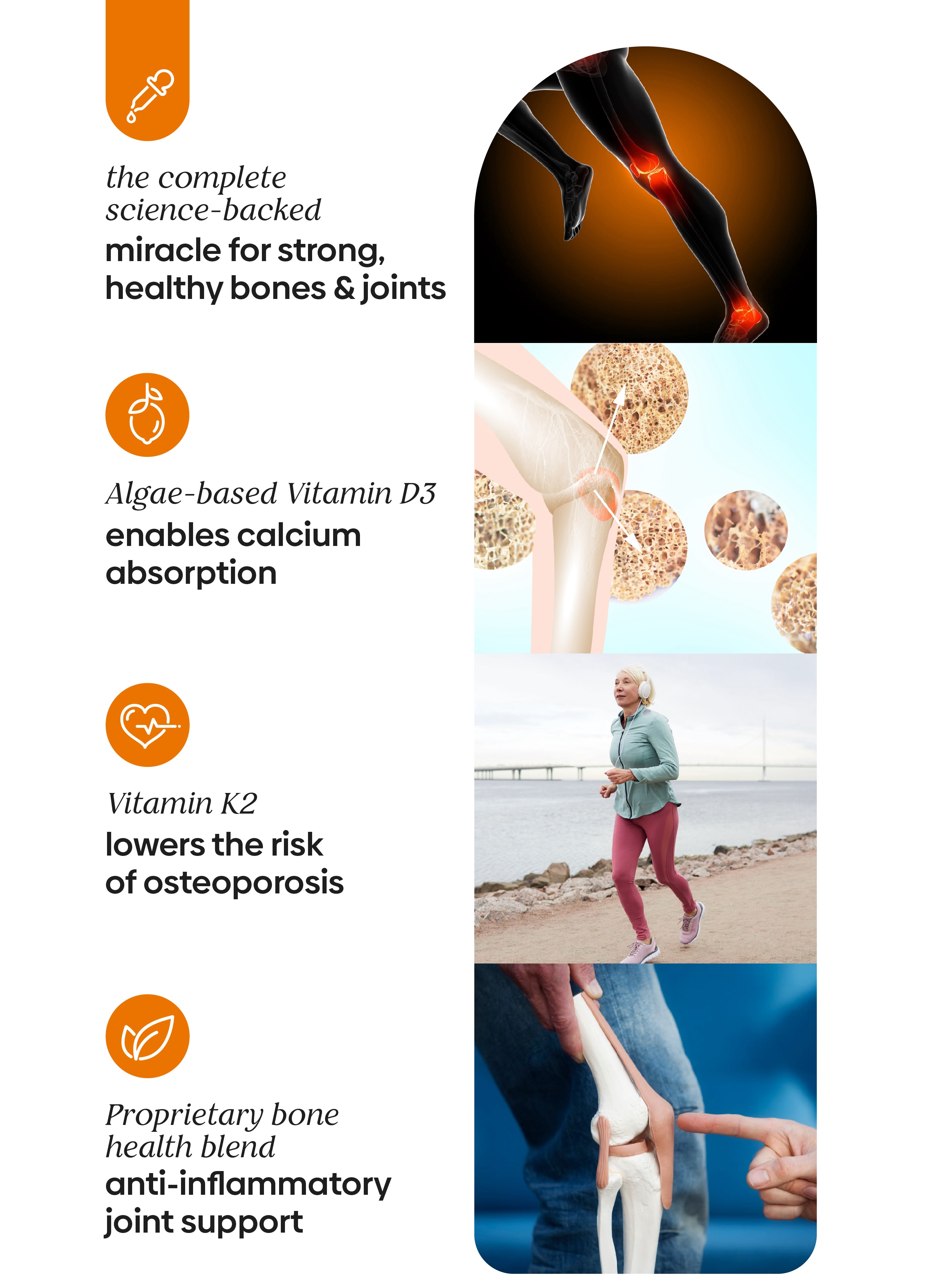 Purest Co Daily Bone+ Drops (Bone & Joint Health) | Shopee Singapore