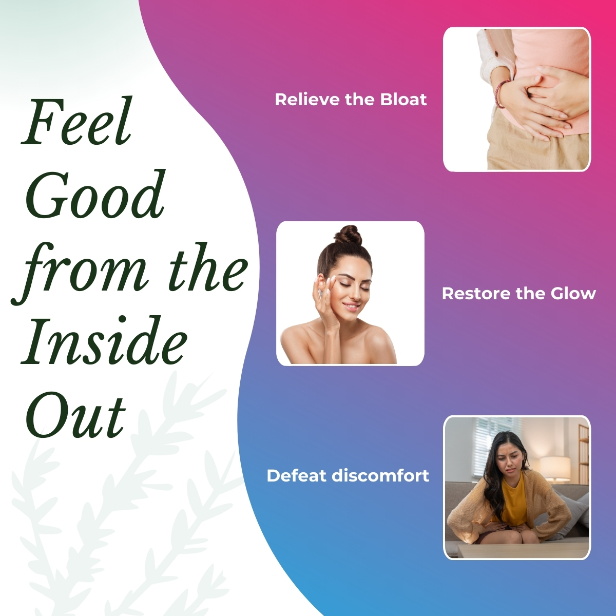 Herb Terra Bloat Fix Supplement | Natural Relief For Bloating, Gut ...