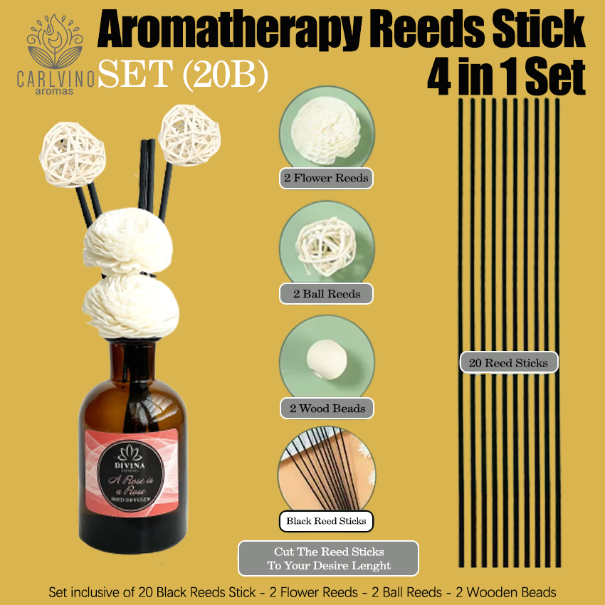 REED STICKS - REED FLOWER - REED BALLS VALUE SET ACCESSORIES FOR ALL ...