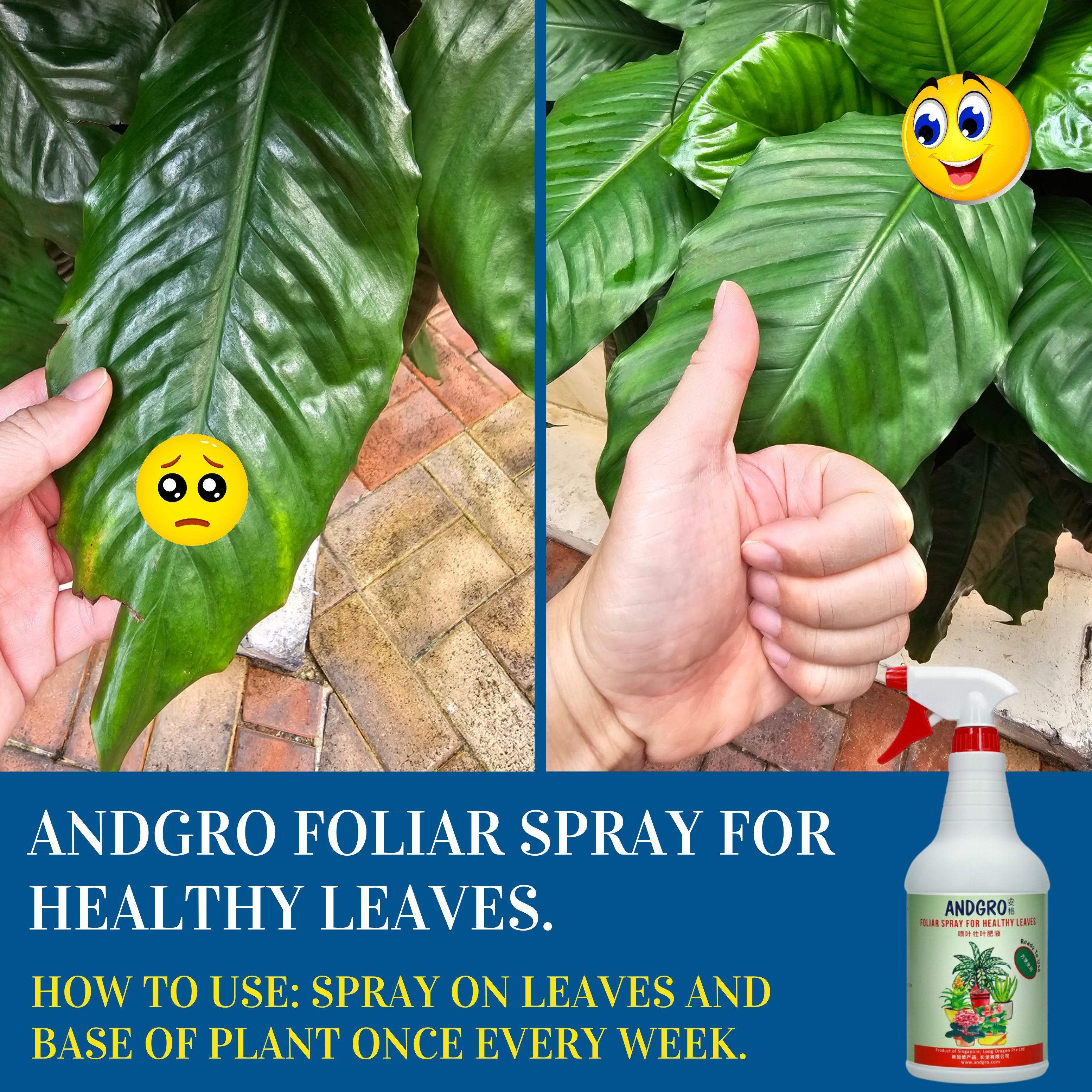 ANDGRO Foliar Spray for Healthy Leaves (1000ml) | Shopee Singapore