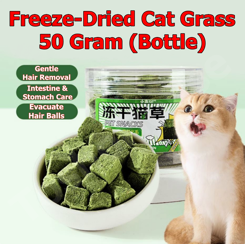 [SG Seller] Freeze Dried Cat Grass Cubes Snack for Cat Gentle Hair ...