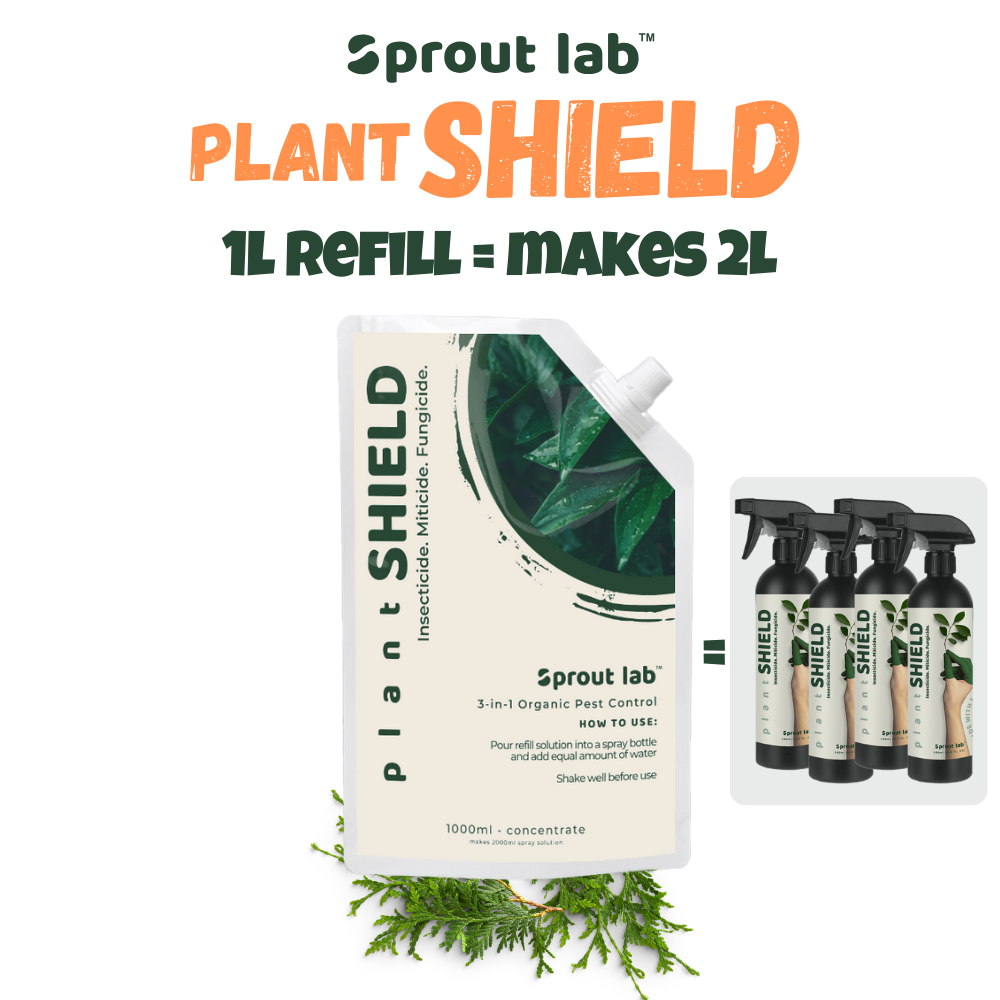 Sprout lab | Plant SHIELD Natural Plant Spray | 3 in 1 - Insecticide ...