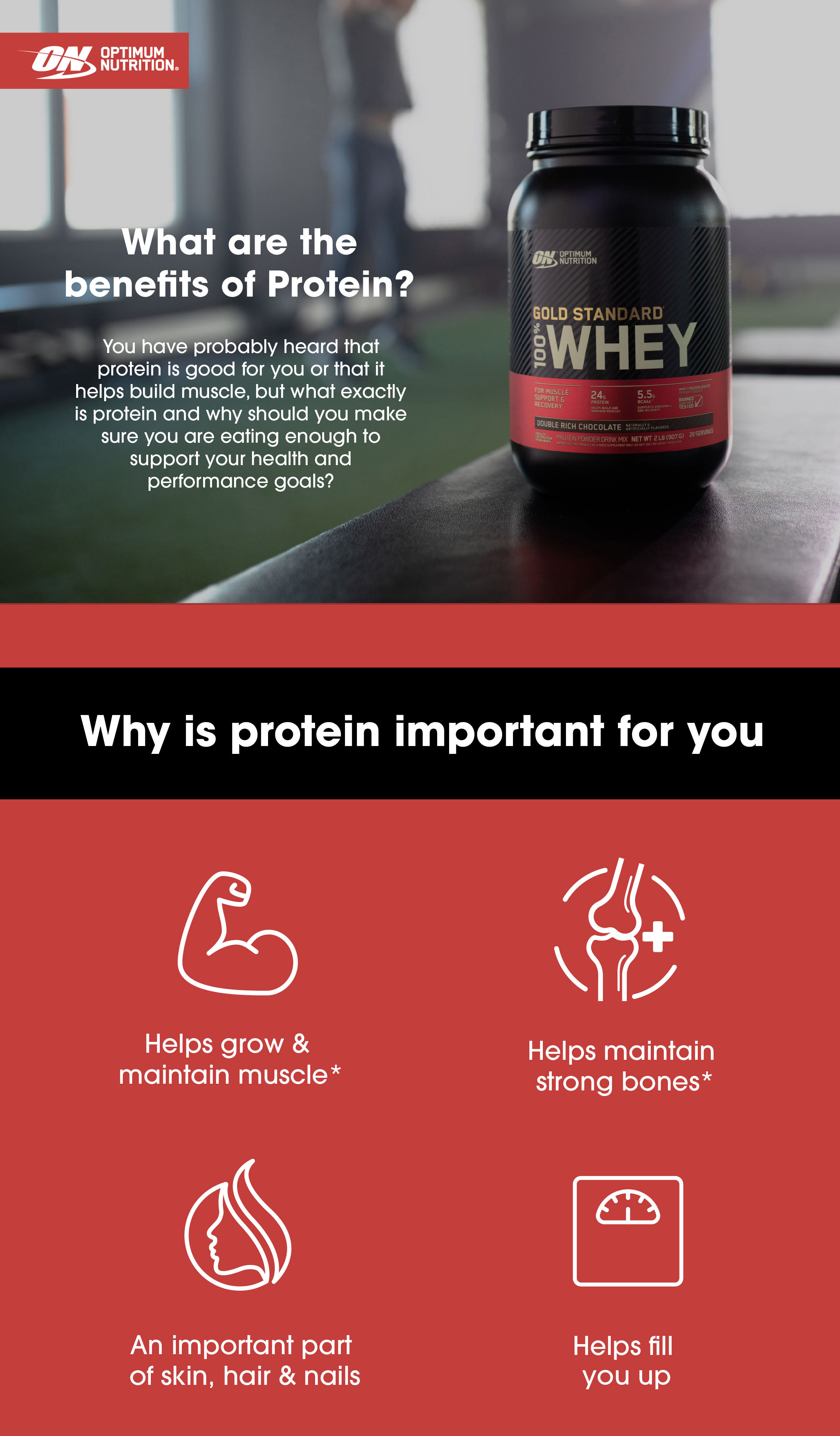 Optimum Nutrition Gold Standard 100 % Whey Protein Sachet Pack | Shopee ...