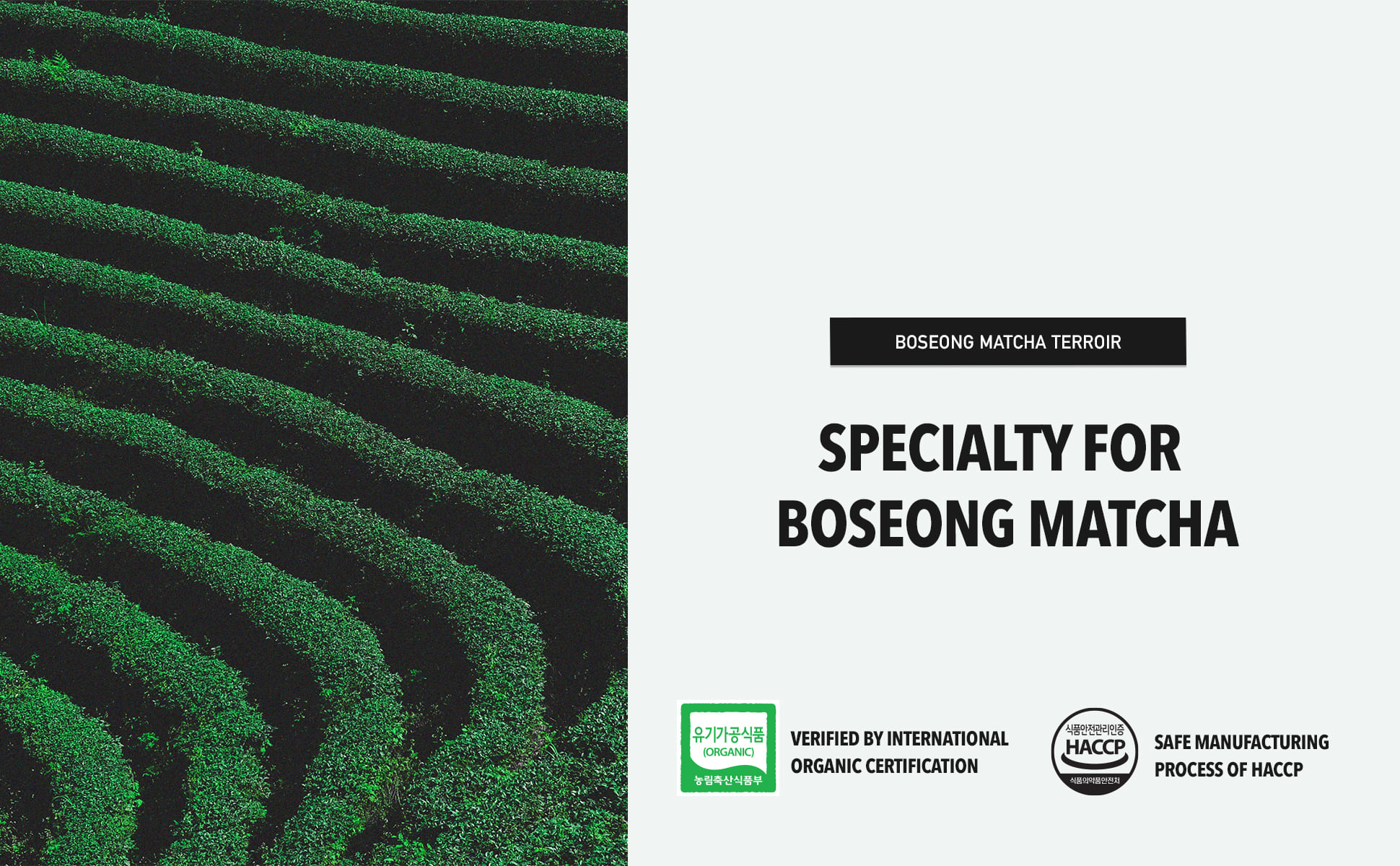 [SUPER MATCHA] CEREMONY Premium Organic Matcha Powder Green Tea ...