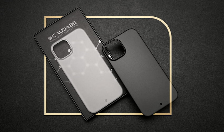 Caudabe Veil Phone Case for iPhone 15 Pro Max / 15 Pro / 15 - Frost ...