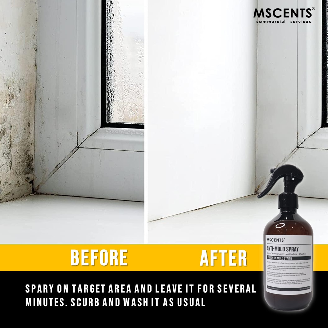 Anti-Mold Disinfectant Spray Cleaner -500ml- Eliminate 99.9% Germs ...