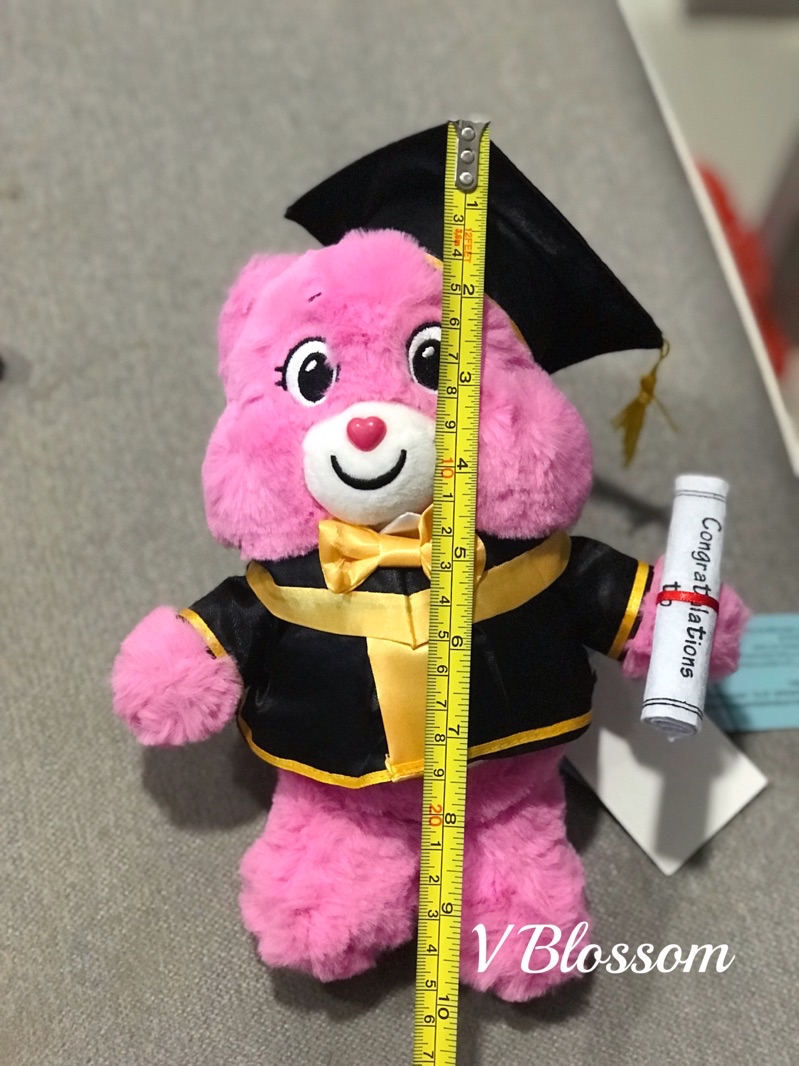 Graduation Care Bears modified by AUTHENTIC Care Bears Graduation Plush ...
