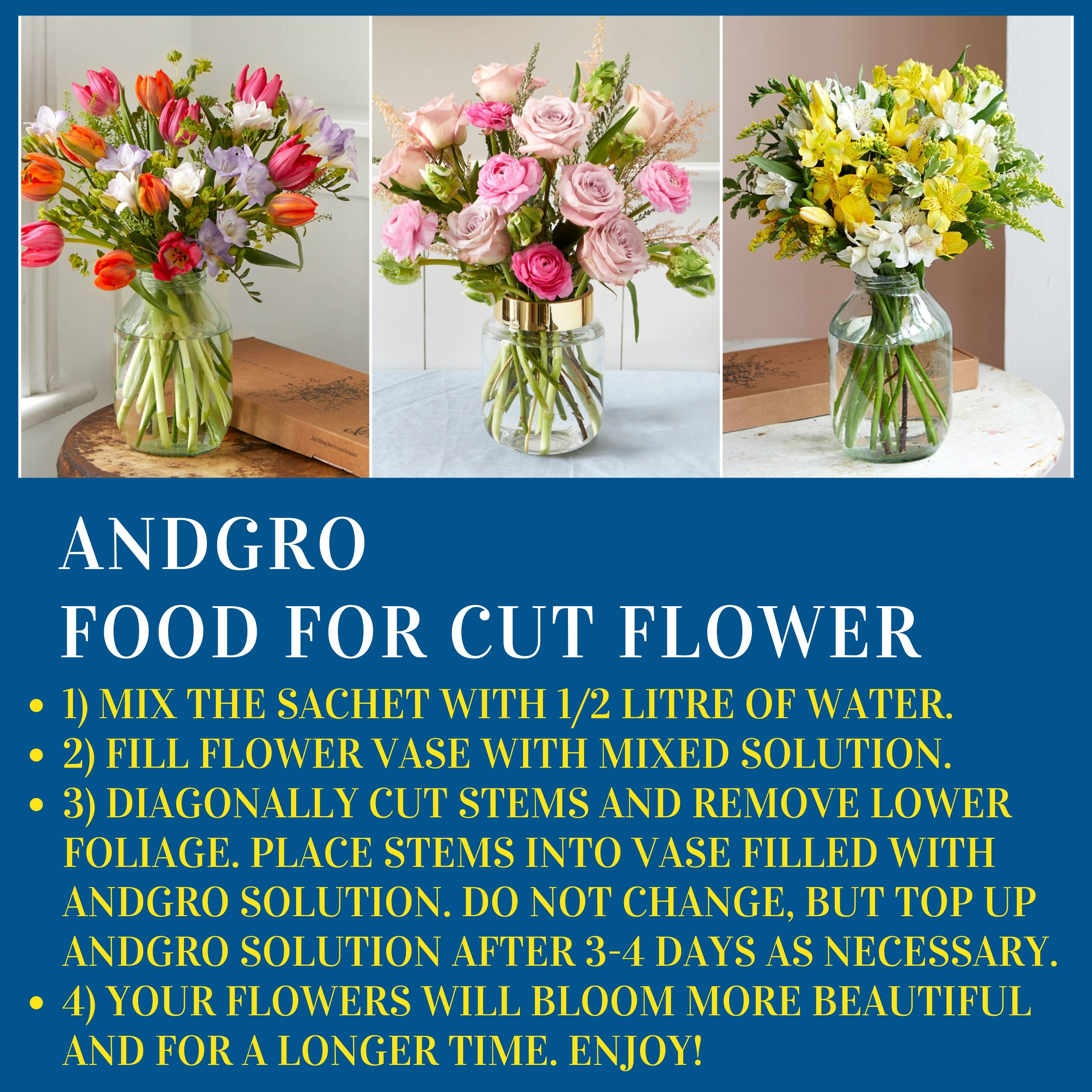 ANDGRO Cut Flower Food (10 Sachets of 5gm) | Shopee Singapore