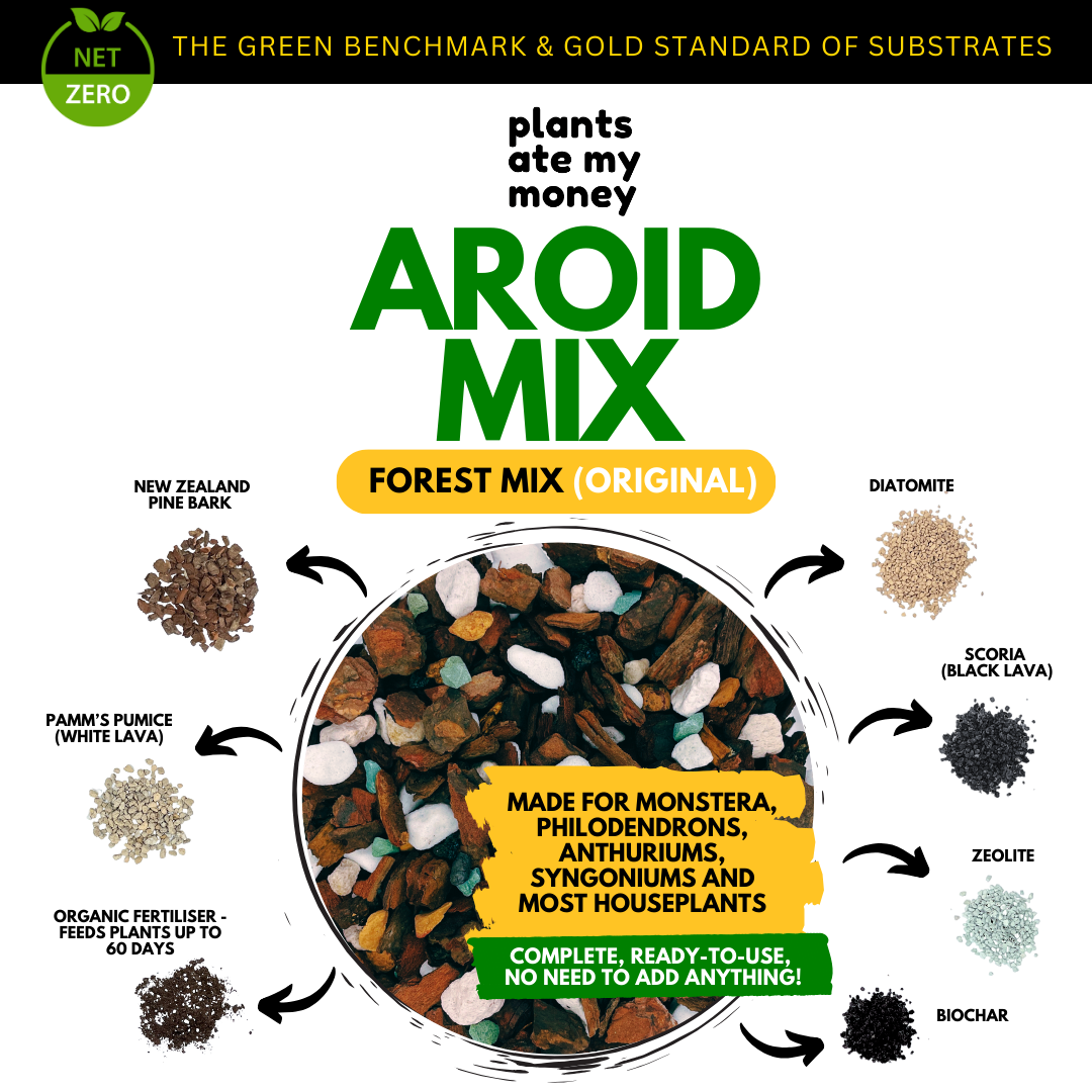 PAMM [ADVANCED AROID MIX] Forest Mix 5L OR TRIO Pack - Ultra Premium ...