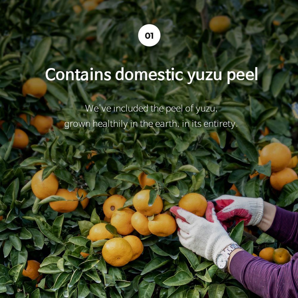 【MEDIPRESSO OFFICE 】 Real Yuzu Tea Capsule - Bundle Pack (20 capsules ...