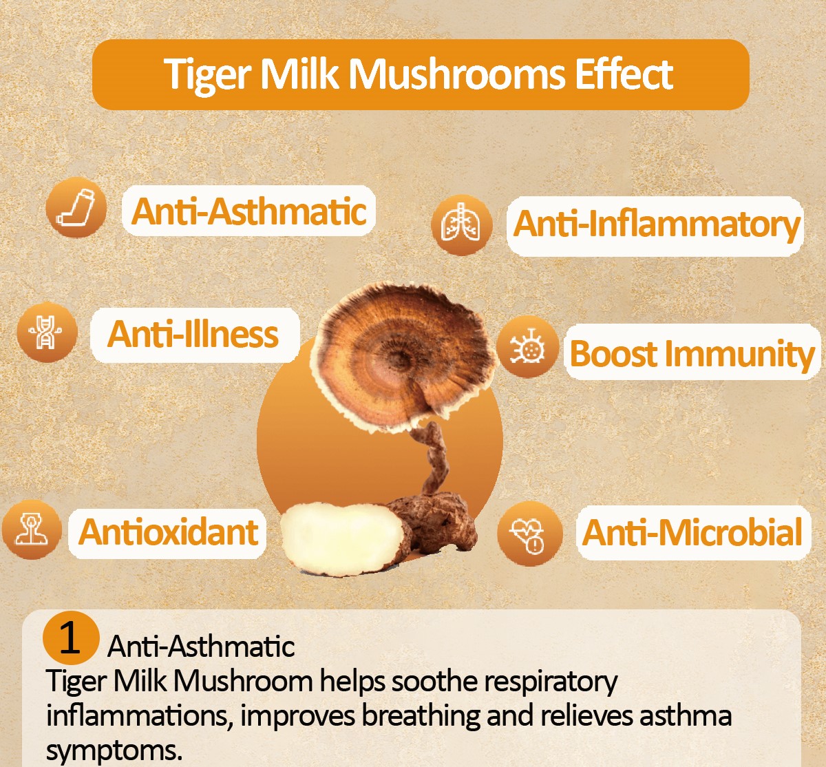Greenkare Tiger Milk Mushroom Extract 虎乳芝| Relief Sinus,Cough,Lung ...