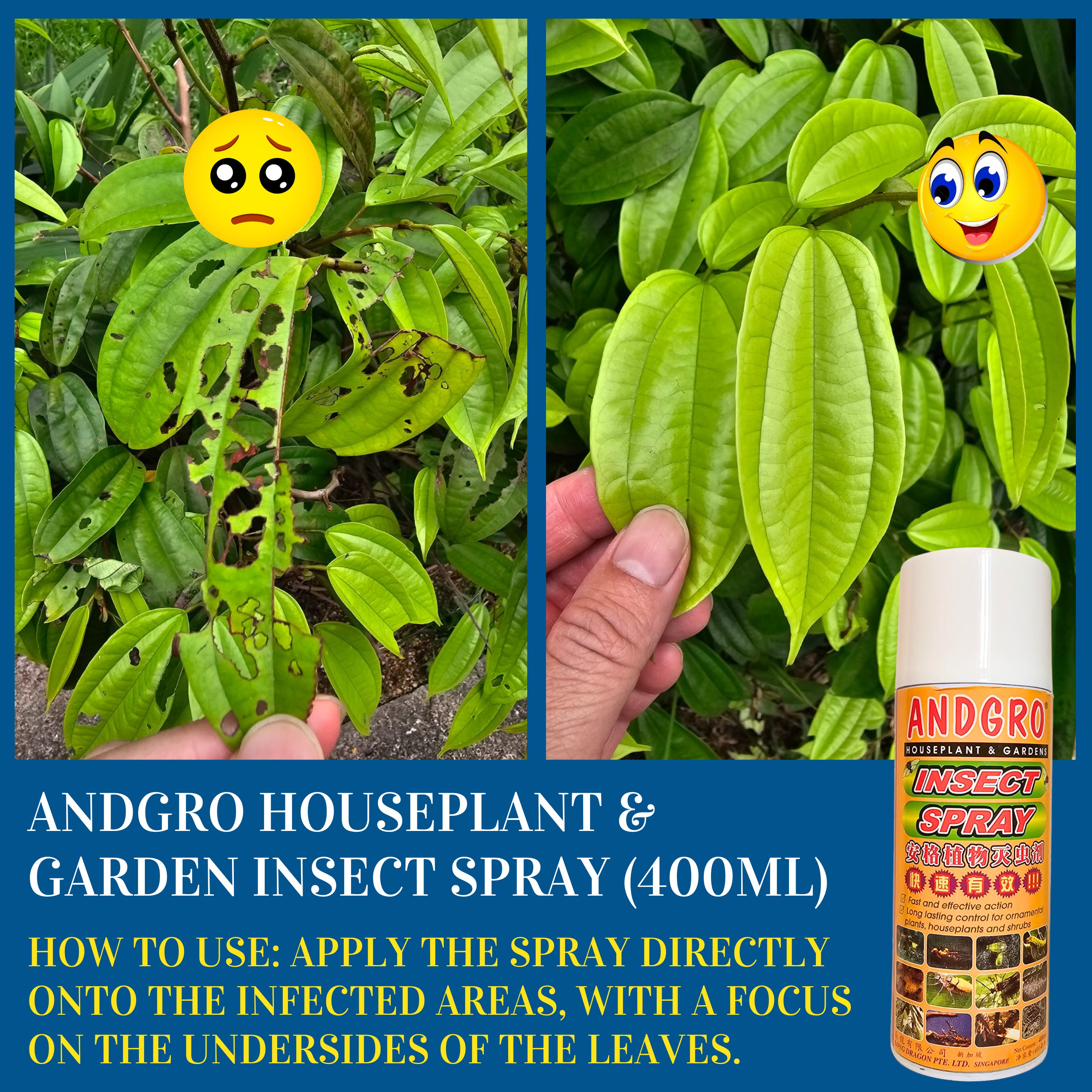 ANDGRO Insect Spray insecticide (400ml) | Shopee Singapore