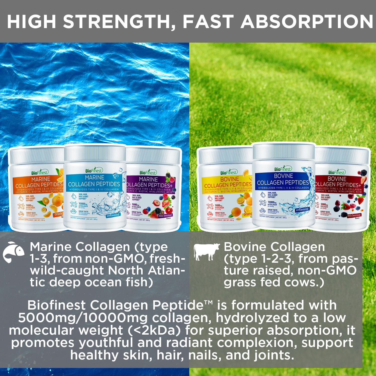 Biofinest Marine Bovine Collagen Peptides Powder 5g/10g -Hyaluronic ...