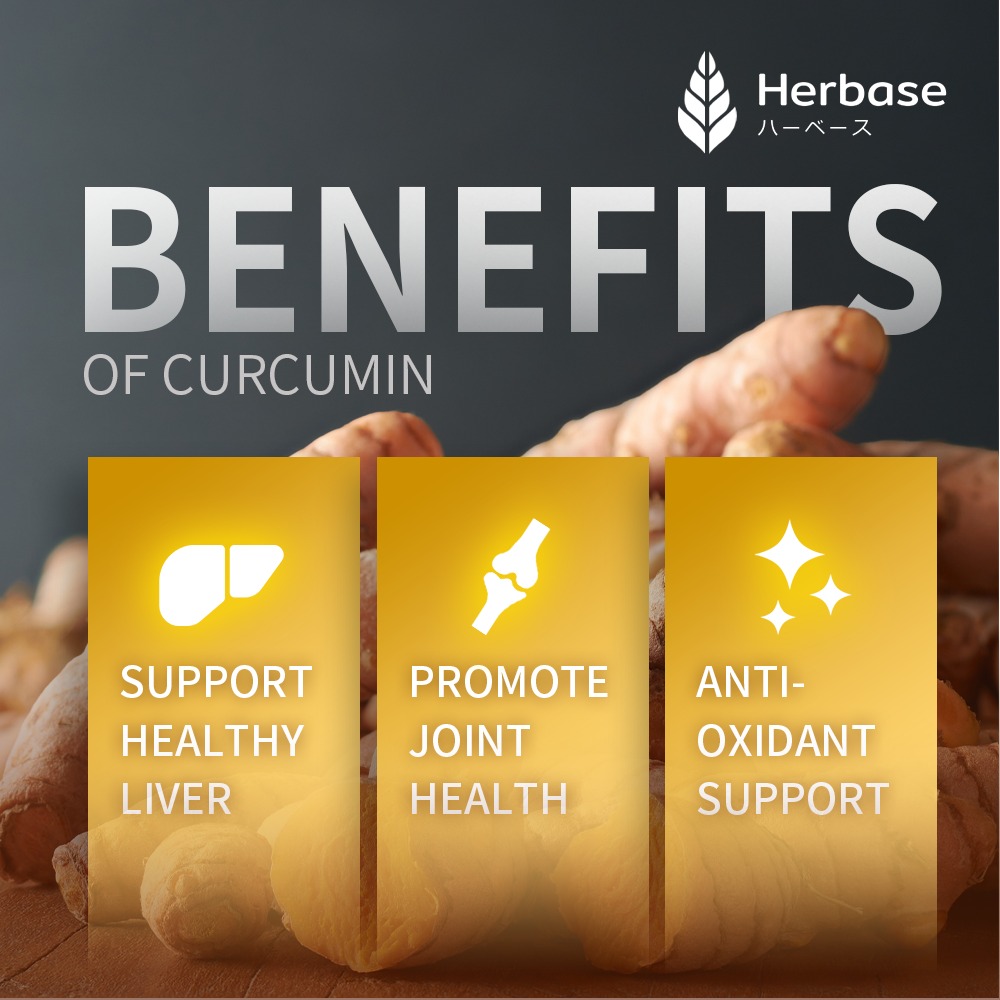 [Herbase] Curcumin supplement (Made in Japan) 90-day dosage turmeric ...