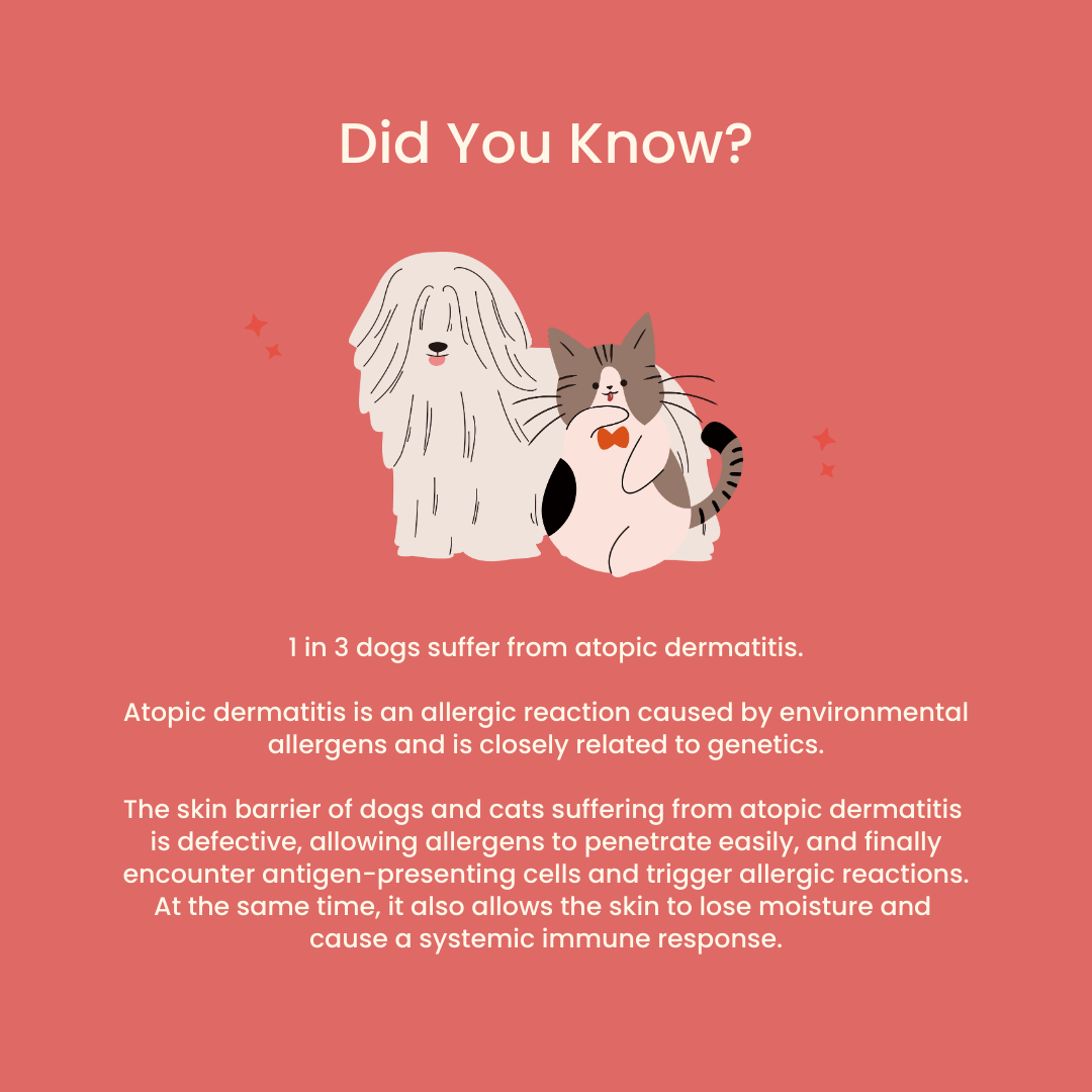 Tuck Kee Pets Glow Up Skin & Coat Supplement With Anti-Allergy ...
