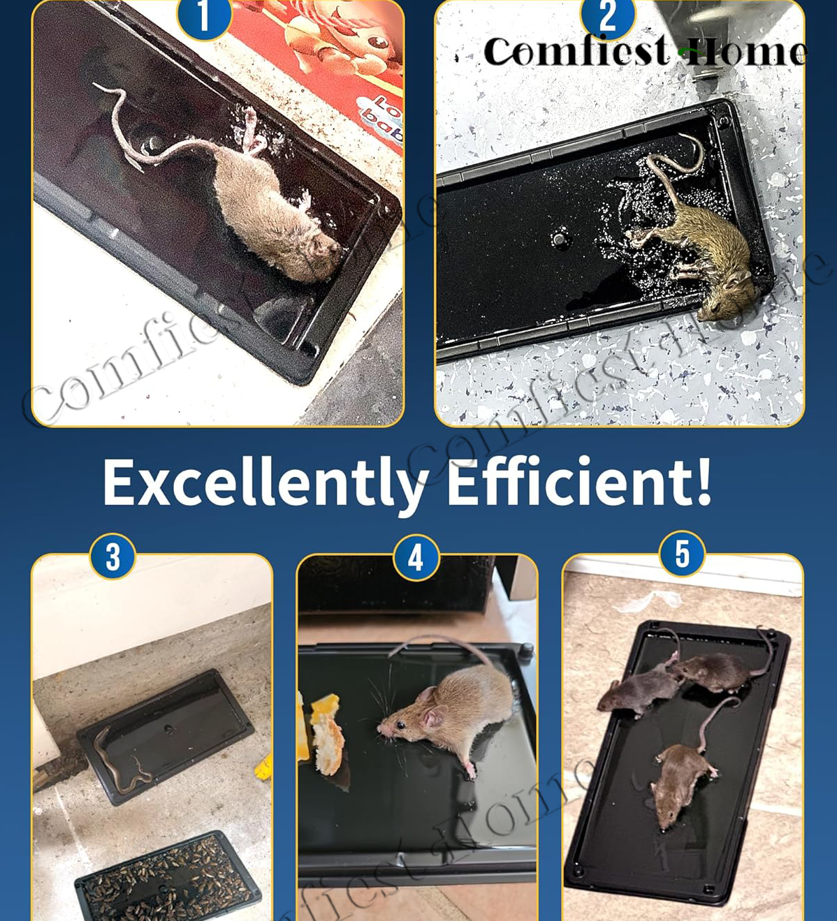 [SG Ready Stock] (2PCS Bundle) Strong Sticky Mouse Traps, Rat Glue ...