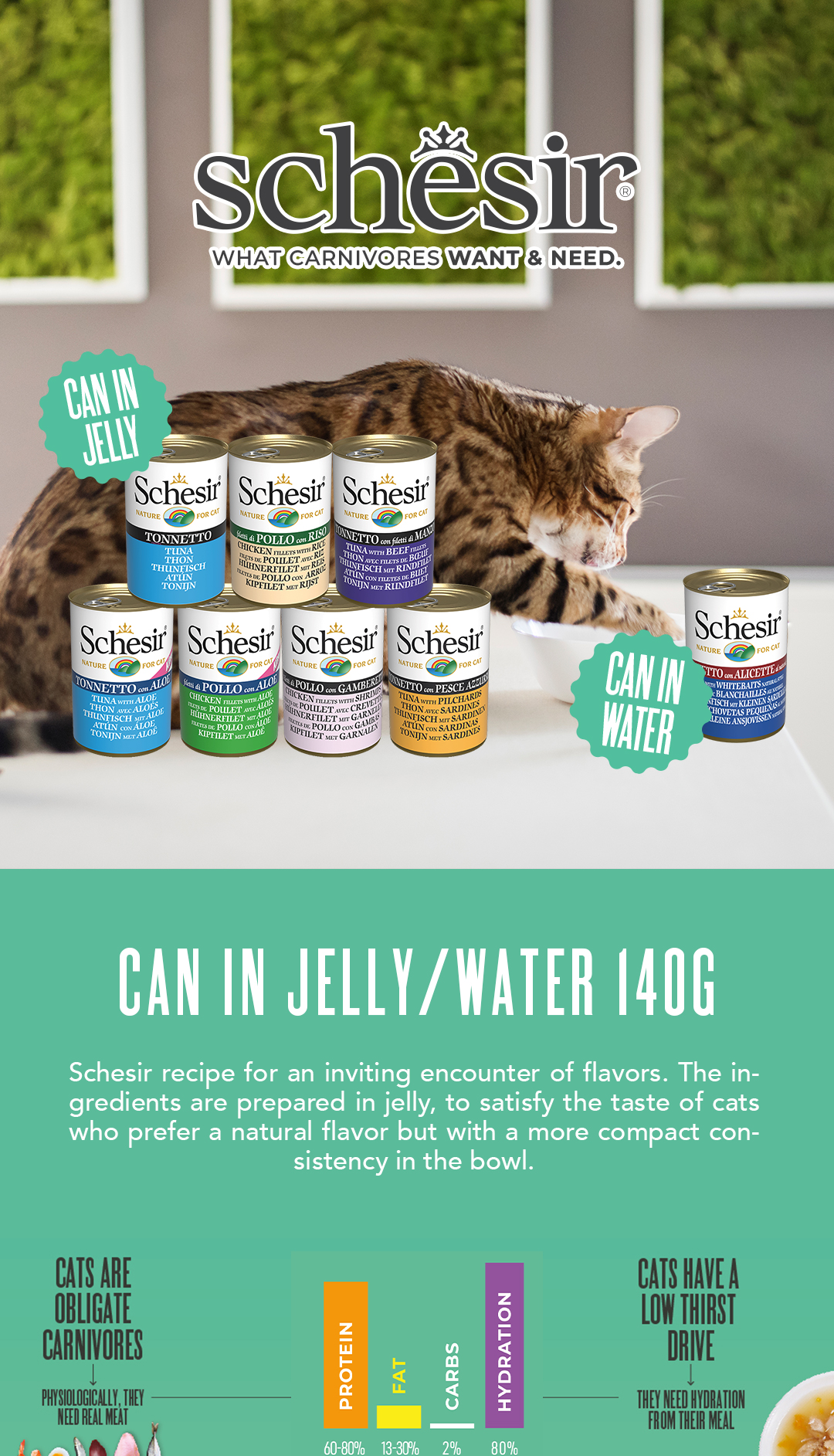 Schesir Cat Can In Jelly/Water 140g | Shopee Singapore