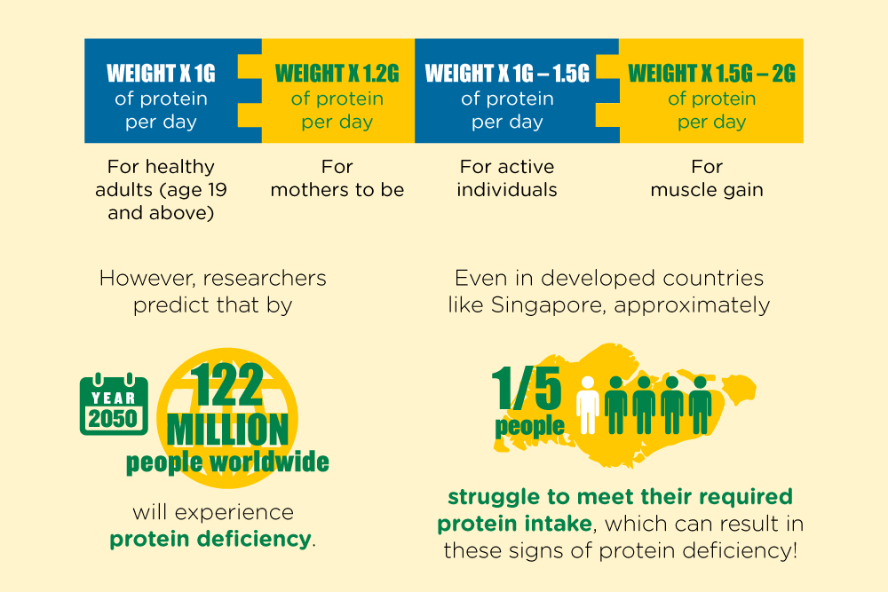 [LAC PROTEIN] Pea Protein - All-natural Muscle Builder (1.72lb ...