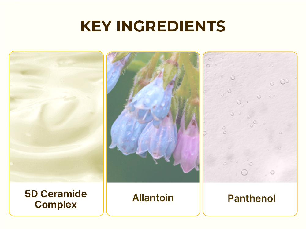 [Torriden Official] SOLID-IN Ceramide Essence, Light Ceramide Essence ...