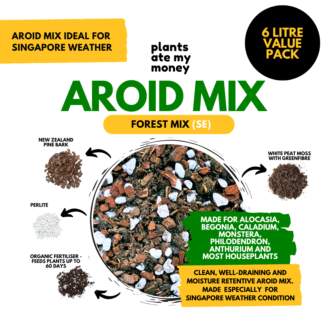 PAMM [ADVANCED AROID MIX] Forest Mix 5L OR TRIO Pack - Ultra Premium ...