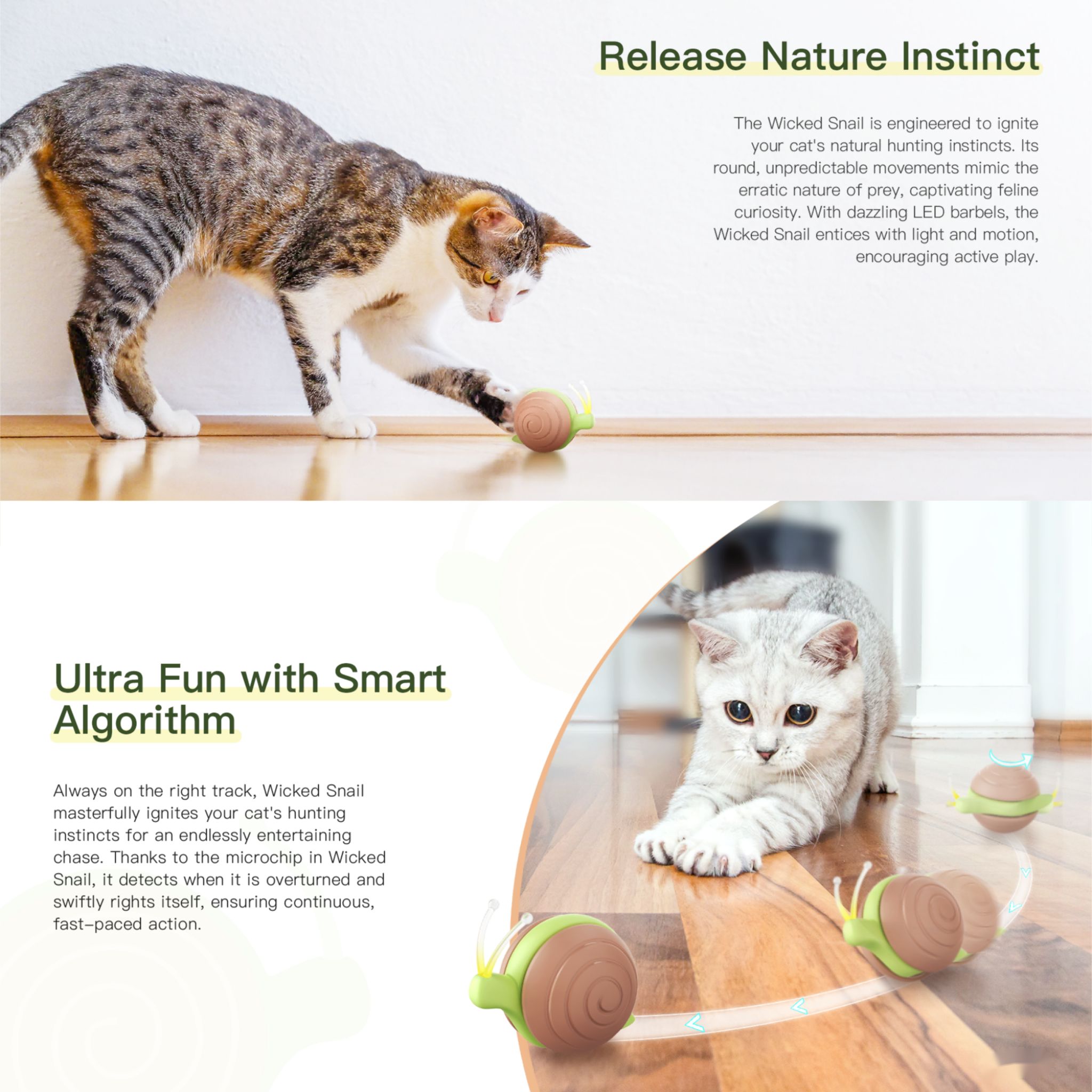 *SALE!* Cheerble Wicked Snail Smart Interactive Cat Toy | Shopee Singapore