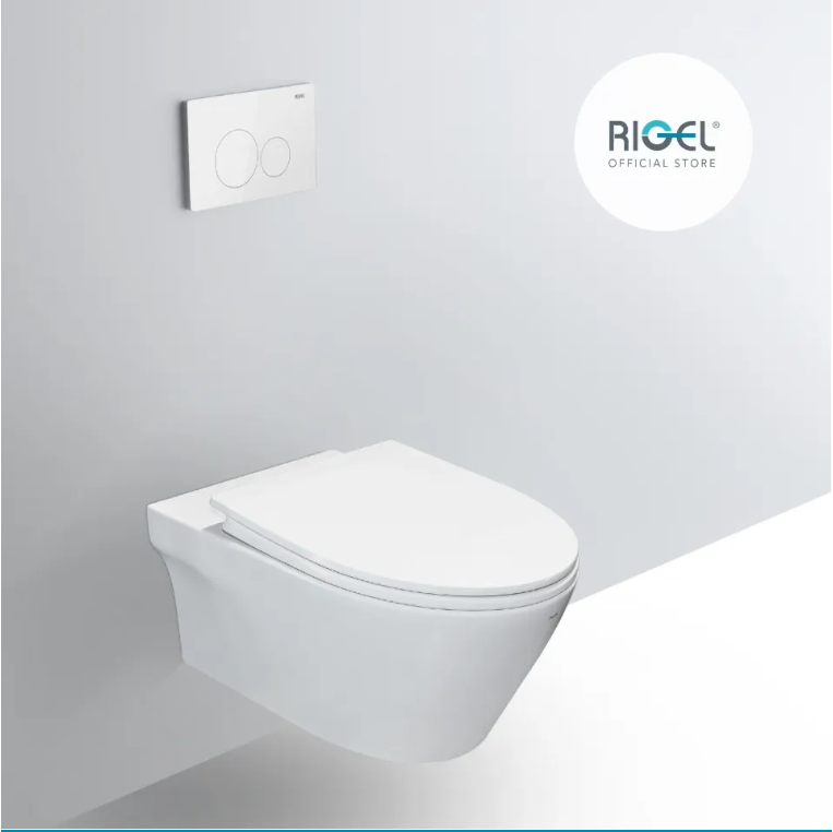 RIGEL Gallant Wall-hung Anti-Bacterial Toilet Bowl complete with ...