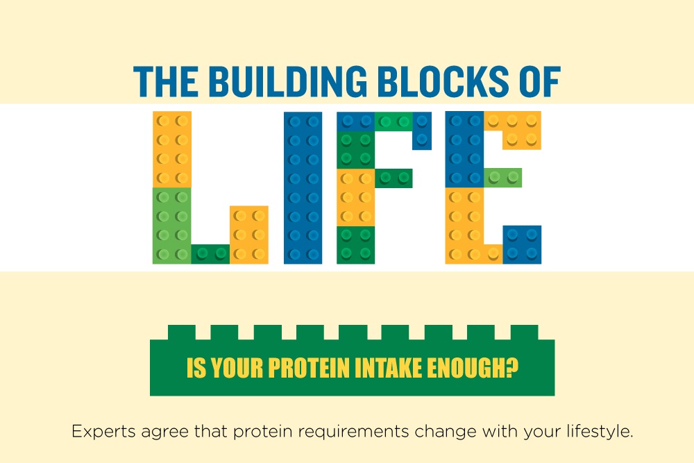 [LAC PROTEIN] Pea Protein - All-natural Muscle Builder (1.72lb ...