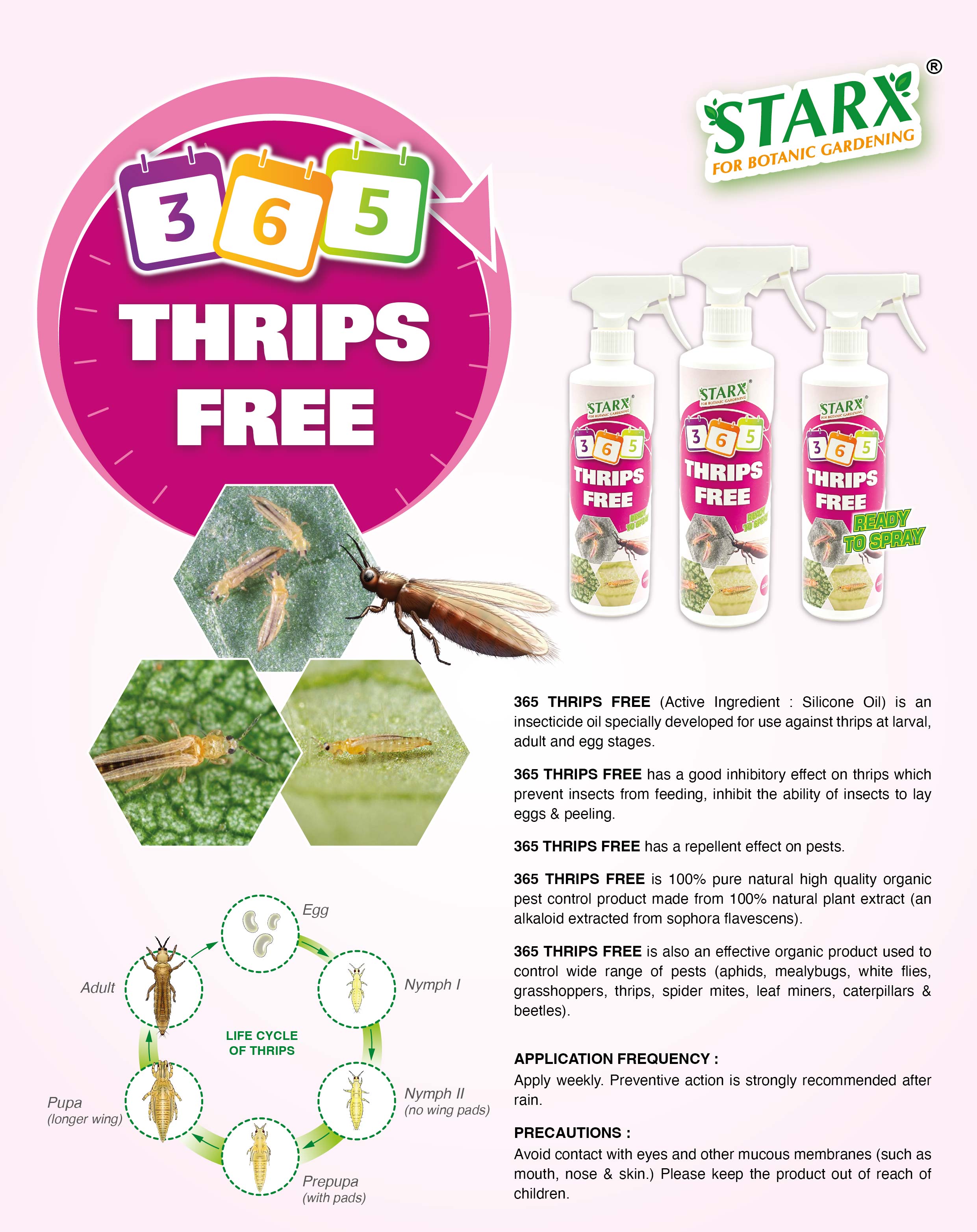 STARX 🇸🇬 | 365 Thrips Free (500ml) Ready To Spray - Insecticide for ...