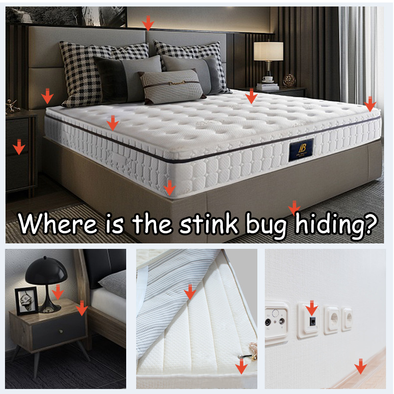 SG READY STOCK Bedbug Killer Spray Bed Bug Insecticide Spray 500ML ...