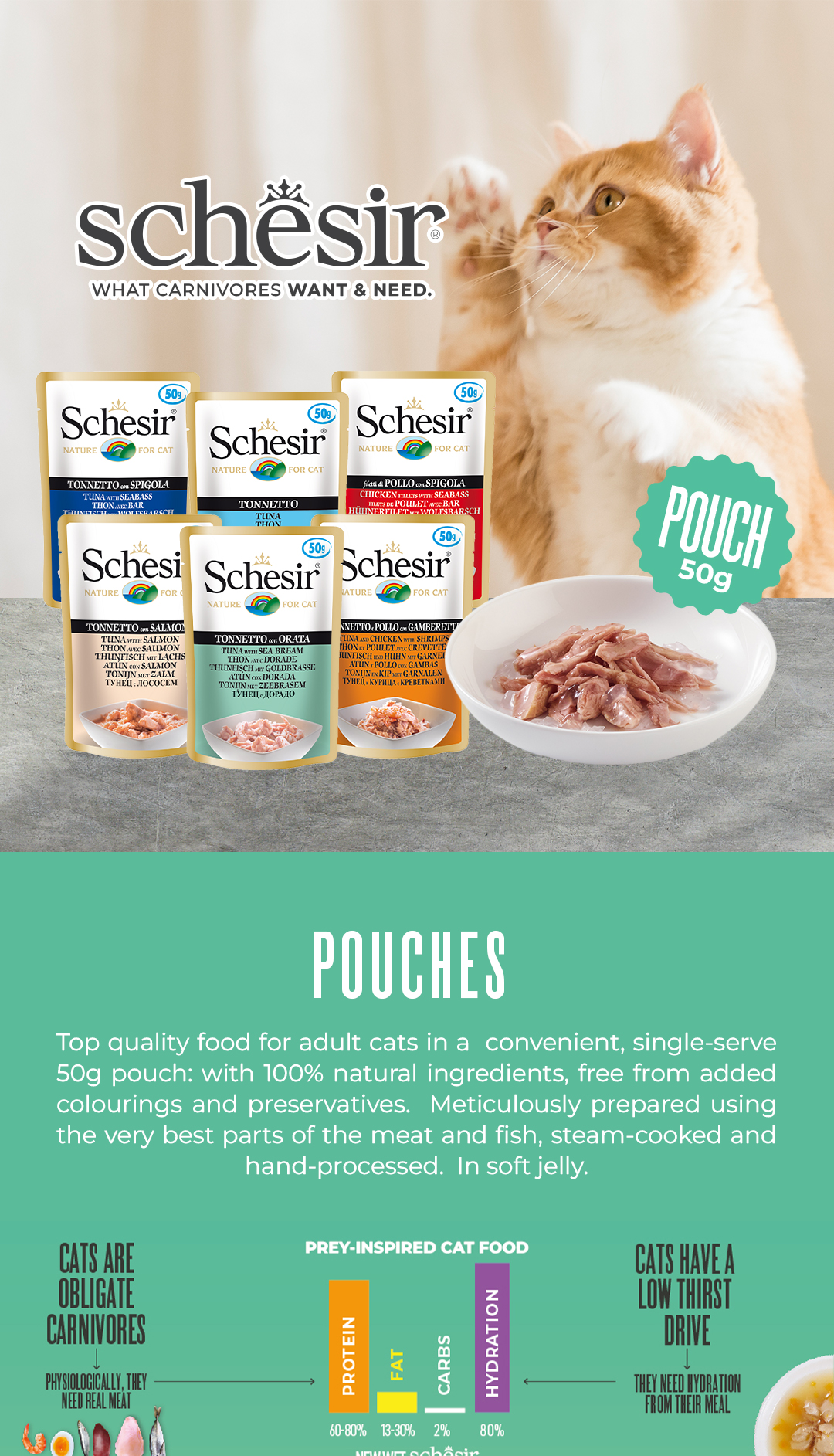 Schesir Cat Wet Food Pouch 50g | Shopee Singapore