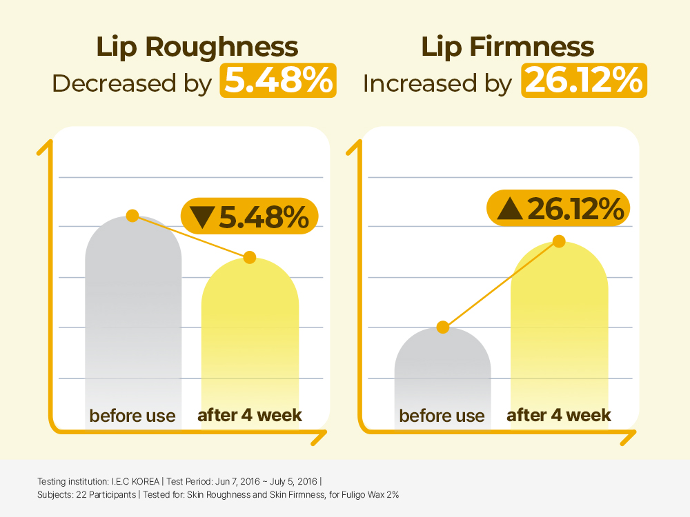 [Torriden Official] SOLID IN Lip Essence for Glowy, 11mlx2ea Bundle | Shopee Singapore