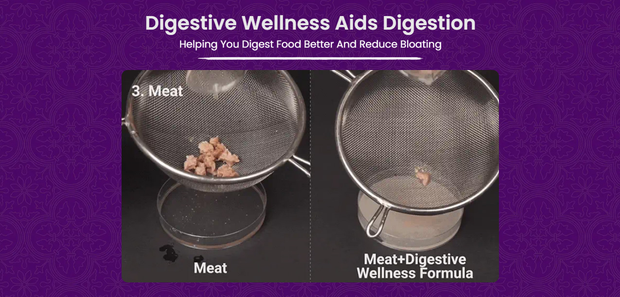 Digestive Enzyme [ 6 All Natural Digestive Enzyme with Probiotic ...