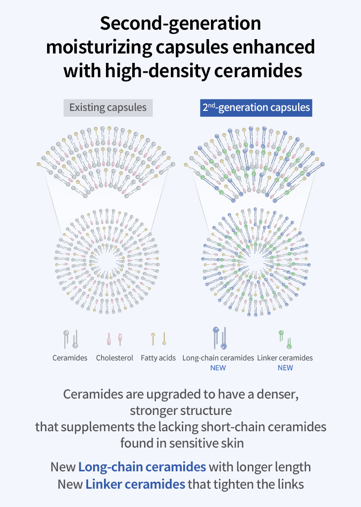 AESTURA ATOBARRIER365 Cream with Ceramide | Korean Moisturizer for ...